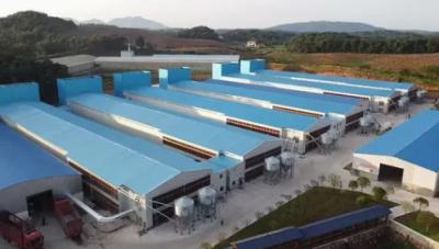 China Hot-Dip Galvanized Prefabricated Chicken House with Customizable Dimensions for Fast Installation for sale