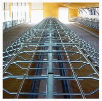 China Hot DIP Galvanized Cow Freestall with Customized Size and Bolt Connection for Cattle Farm Equipment for sale