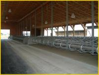 China Hot DIP Galvanized Cow Freestall with Customized Size and Bolt Connection for Cattle Farm Equipment for sale