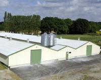 China Hot-Dip Galvanized Prefabricated Steel Poultry House with Customizable Dimensions and 50-Year Lifespan for sale