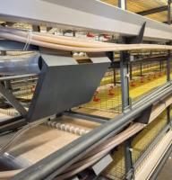 China Hot-dip Zinc Broiler Chicken Cage with Modular Design and Automatic Feeding System for Poultry Farming for sale