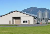 China Hot-dip Galvanized Q235B Steel Poultry House with Short Installation Time for Farm Chicken Shed for sale