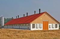 China Hot-dip Galvanized Q235B Steel Poultry House with Short Installation Time for Farm Chicken Shed for sale
