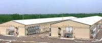 China Hot-dip Galvanized Q235B Steel Poultry House with Short Installation Time for Farm Chicken Shed for sale