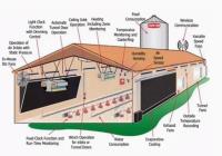 China Hot-Dip Galvanized Steel Structure Chicken Coop with Customizable Dimensions and Automated Feeding System for sale