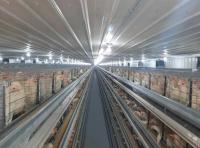 China Low Cost Steel Structure Chicken House with Quick Assembly and Customizable Finishes for Poultry Farming for sale