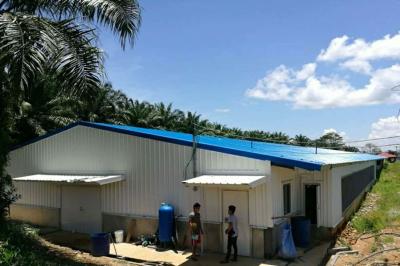 China Hot-Dip Galvanized Anti-Corrosion Steel Poultry House with Customizable Layout for Broilers & Layers for sale