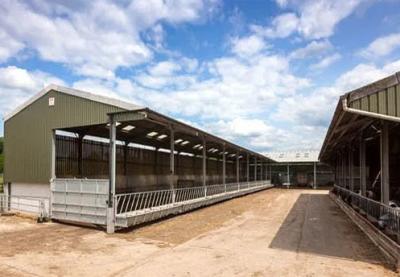 China Hot-Dip Galvanized Custom Size Anti-Corrosion Steel Poultry House for Livestock Cow Shelter for sale