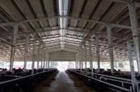 China Hot-Dip Galvanized Custom Size Anti-Corrosion Steel Poultry House for Livestock Cow Shelter for sale