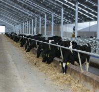 China Hot-Dip Galvanized Custom Size Anti-Corrosion Steel Poultry House for Livestock Cow Shelter for sale