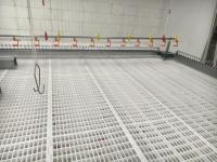 China Hot-Dip Galvanized Poultry House Feeding Equipment with Low Failure Rate and Long Service Life for Automatic Feed Distribution for sale