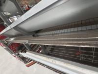 China Hot-Dip Galvanized Poultry House Feeding Equipment with Low Failure Rate and Long Service Life for Automatic Feed Distribution for sale