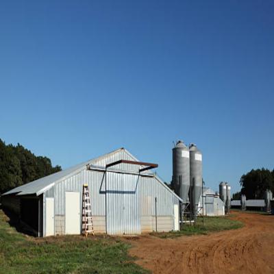 China Corrosion Resistant Pre-Engineered Steel Structure Poultry House with 20-30 Years Service Life and Optional Heating and Cooling Systems for sale