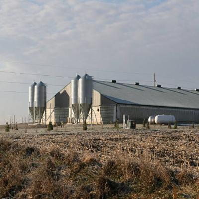 China Fully Automated High-Density Vertical Layer Cage System with Corrosion Resistant Multi-Tier Battery Cage for sale