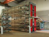 China Hot-Dip Galvanized Steel H Type Layer Chicken Cage with Automatic Feeding System and Modular 4-8 Tiers for sale