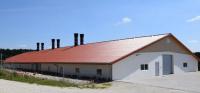 China Corrosion Resistant Low Maintenance Steel Structure Poultry Farm Building with Galvanized Light Steel Frames for sale
