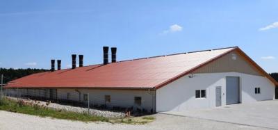China Corrosion Resistant Low Maintenance Steel Structure Poultry Farm Building with Galvanized Light Steel Frames for sale