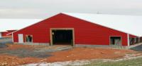 China Corrosion Resistant Low Maintenance Steel Structure Poultry Farm Building with Galvanized Light Steel Frames for sale