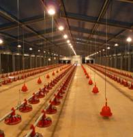 China Modular Structure Closed Poultry House System with Adjustable Vents and Hot-Dip Galvanized Automatic Chicken Broiler Farm Equipment for sale