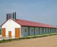 China Automatic Portable Poultry House with Bolt Connection and Gable Roof Steel Structure Building for sale