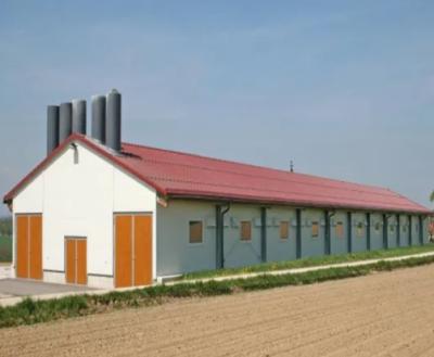 China Automatic Portable Poultry House with Bolt Connection and Gable Roof Steel Structure Building for sale