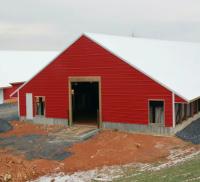 China Automatic Portable Poultry House with Bolt Connection and Gable Roof Steel Structure Building for sale