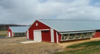 China Hot-dip Galvanized Steel Poultry House with Customizable Size and Adjustable Vents for Efficient Poultry Farming for sale