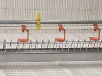 China Fully Automatic Poultry Feeding System with Corrosion Resistant High Efficiency Chicken House Feeding Equipment for sale