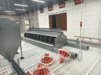 China 256 Unit Capacity Automatic Poultry Farming Equipment with Hot-DIP Galvanized Steel and Automatic Feeding System for sale