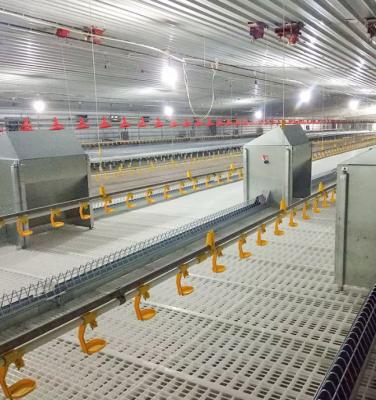 China Malaysia Poultry Farm House Design with Hot-dip Galvanized Steel Structure and Automatic Nipple Drinking System for sale
