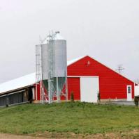 China Malaysia Poultry Farm House Design with Hot-dip Galvanized Steel Structure and Automatic Nipple Drinking System for sale