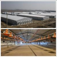 China Malaysia Poultry Farm House Design with Hot-dip Galvanized Steel Structure and Automatic Nipple Drinking System for sale