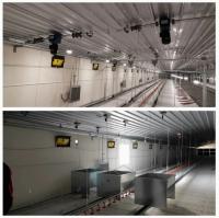 China Customizable Broiler Flat Rearing Equipment with Steel Frame, Natural and Artificial Lighting Options, and Wind and Rain Resistance for Large Poultry Farms for sale