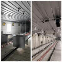 China Customizable Broiler Flat Rearing Equipment with Steel Frame, Natural and Artificial Lighting Options, and Wind and Rain Resistance for Large Poultry Farms for sale