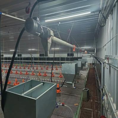 China Automatic Chicken Feeding Line with Anti-spillage Design, Hot-dip Galvanized Steel, and Precision Nipple Drinking for Poultry Breeding Equipment for sale