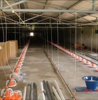 China Custom Hot-dip Galvanized Steel Poultry Farming Equipment with Fully Enclosed Conveying and Adjustable Ventilation for Chicken Farms for sale