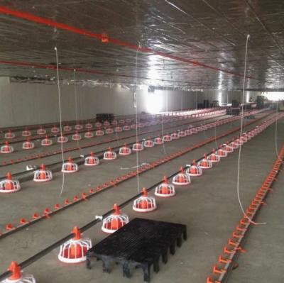 China Fully-Automatic Poultry Farm Equipment with Hot-Dip Galvanized Steel and Negative Pressure Ventilation for sale