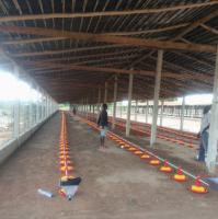 China Fully-Automatic Poultry Farm Equipment with Hot-Dip Galvanized Steel and Negative Pressure Ventilation for sale