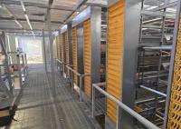 China Hot-Dip Galvanized H-Type Battery Layer Cage with Automatic Nipple Drinkers and Wind and Rain Resistant Poultry Farming Equipment for sale