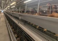 China Hot-Dip Galvanized H-Type Battery Layer Cage with Automatic Nipple Drinkers and Wind and Rain Resistant Poultry Farming Equipment for sale