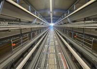 China Hot-Dip Galvanized H-Type Battery Layer Cage with Automatic Nipple Drinkers and Wind and Rain Resistant Poultry Farming Equipment for sale