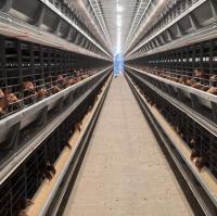 China Hot-Dip Galvanized H-Type Battery Cage for Space-Saving Poultry Farming with Low Egg Breakage for sale