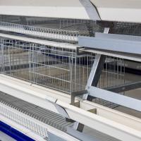 China Hot-Dip Galvanized H-Type Battery Cage for Space-Saving Poultry Farming with Low Egg Breakage for sale