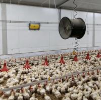 China Automatic Poultry Raising System with Galvanized Light Steel Frames and Hot-dip Galvanized Steel for Chicken Broiler Farm Equipment for sale