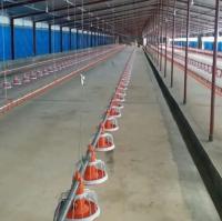 China Automatic Poultry Raising System with Galvanized Light Steel Frames and Hot-dip Galvanized Steel for Chicken Broiler Farm Equipment for sale