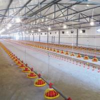 China Automatic Poultry Raising System with Galvanized Light Steel Frames and Hot-dip Galvanized Steel for Chicken Broiler Farm Equipment for sale