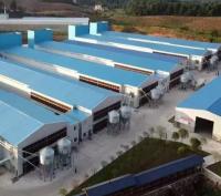 China Fast Build Corrosion Resistant Steel Poultry House with 30 Year Warranty Prefab Chicken Coop for sale