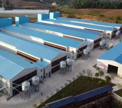 China Fast Build Corrosion Resistant Steel Poultry House with 30 Year Warranty Prefab Chicken Coop for sale