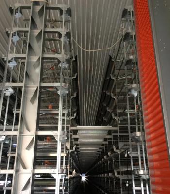 China Prefabricated Hot-Dip Galvanized Steel Poultry House with Automatic Feeding System for sale