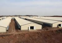China Weather-Resistant Prefabricated Steel Poultry House with Corrosion Resistant Farm Shed for sale